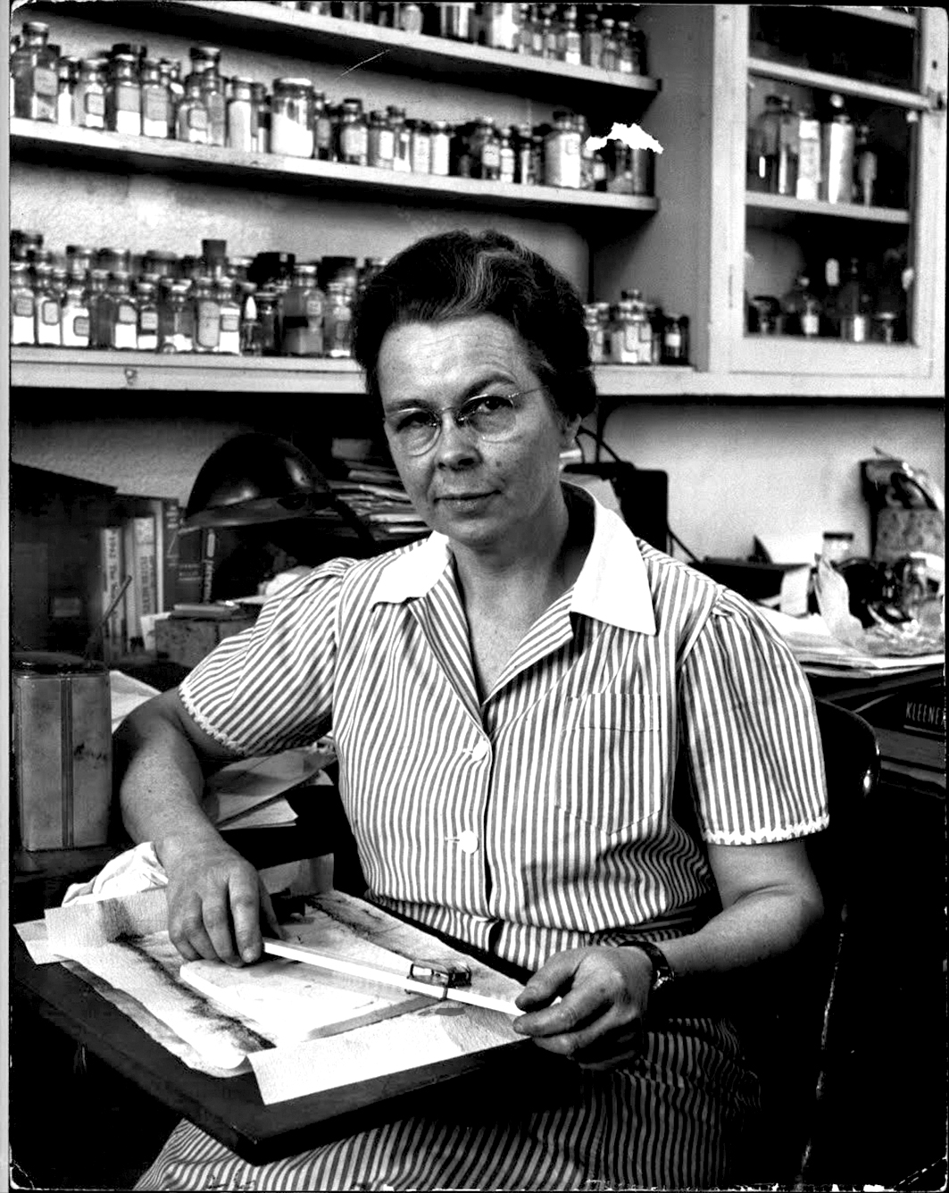 Inventora de la calculadora | Mgz Lleida | sabies que Magazine Lleida